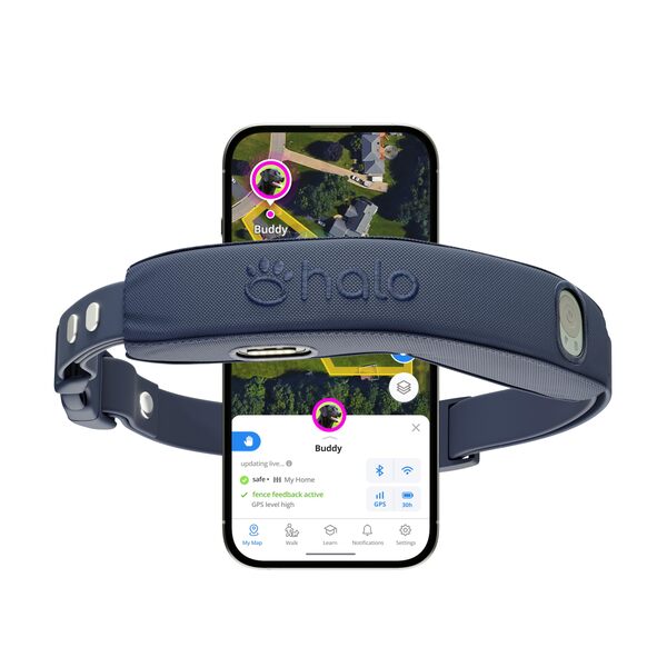 10 Best GPS Dog Collars: Reviews and Buying Guide 2025 - Must Read This ...