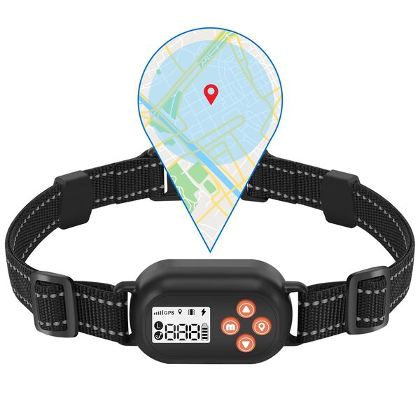 10 Best GPS Dog Collars: Reviews and Buying Guide 2025 - Must Read This ...