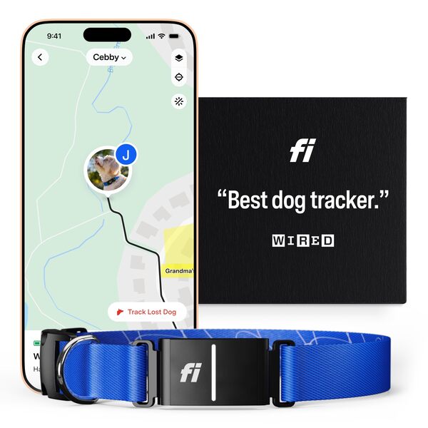 10 Best GPS Dog Collars: Reviews and Buying Guide 2025 - Must Read This ...