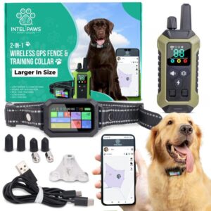 10 Best GPS Dog Collars: Reviews and Buying Guide 2025 - Must Read This ...