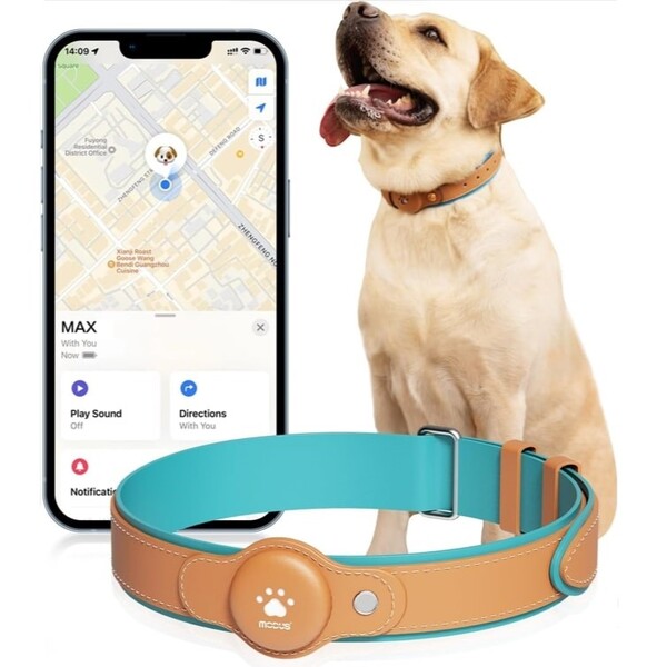 10 Best GPS Dog Collars: Reviews and Buying Guide 2025 - Must Read This ...