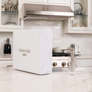 Cloud Water Filters vs Waterdrop: Which Water Filter Lives Up to the ...