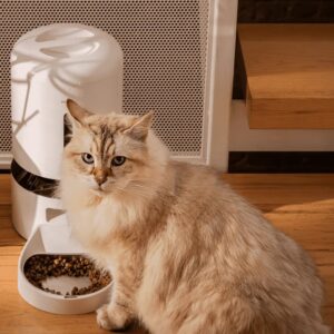 Petlibro Review: Can They Make Pet Care Easier? Here's What We Found ...