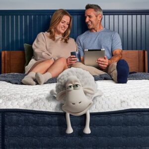 Serta vs Sealy: Which is the Smarter Buy for Everyday Comfort? - Must ...