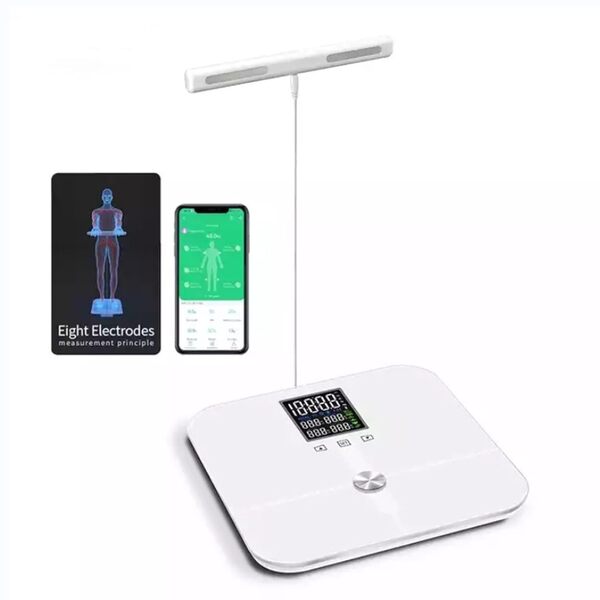 Hume Body Pod Scale Review - Must Read This Before Buying