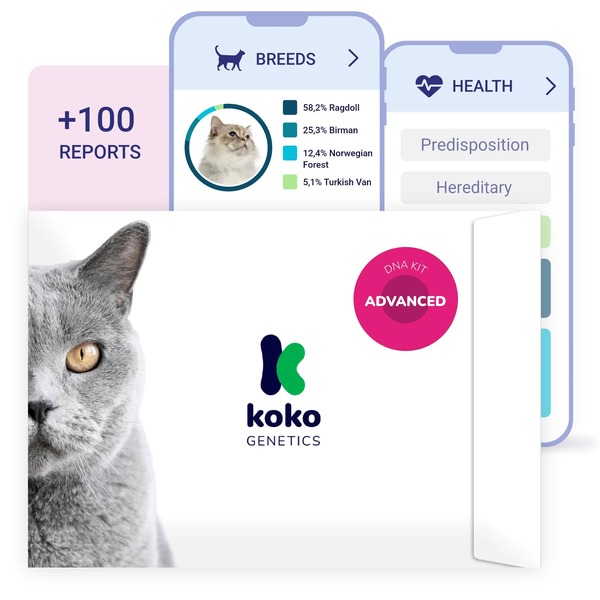 5 Best Cat DNA Test Kit: Reviews and Buying Guide 2025 - Must Read This ...